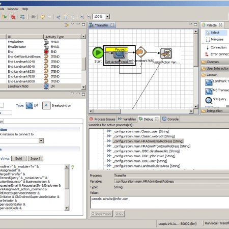 Infor Process Automation (IPA)