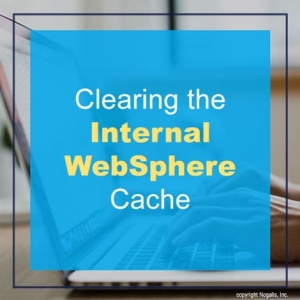 Clearing the Internal WebSphere Cache